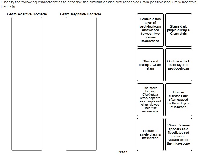 classify the following characteristics to describe the similarities and differences of gram ...