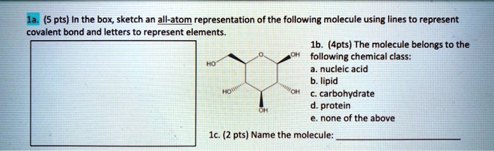 5 pts in the box sketch an all atom representation of the following ...