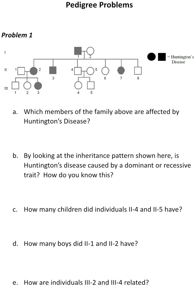 problem 1 i ii 2 3 iii 1 2 3 pedigree problems 5 6 7 huntingtons ...
