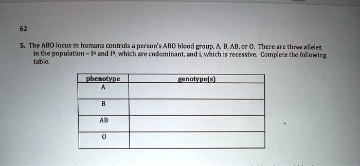 SOLVED: The ABO locus In humans controls person's ABO blood group,A, B ... SOLVED: The ABO locus In humans controls person's ABO blood group,A, B ...