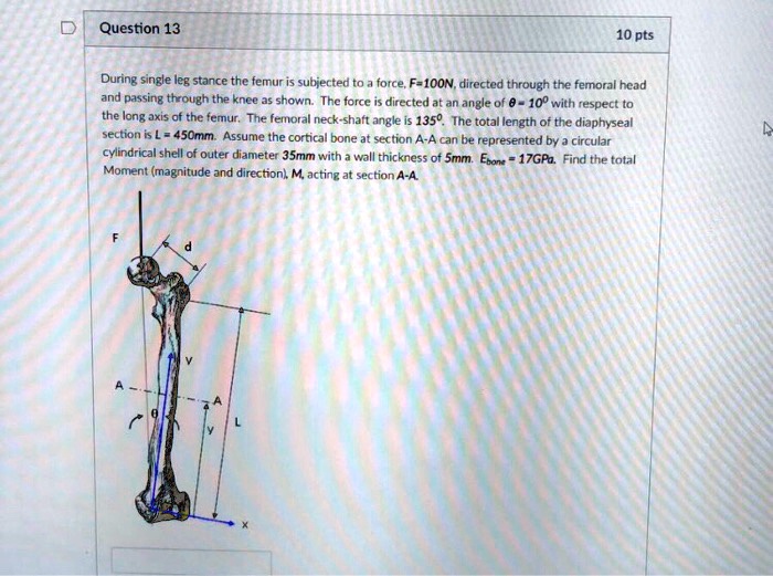 SOLVED: During single leg stance, the femur is subjected to a force Fa ...