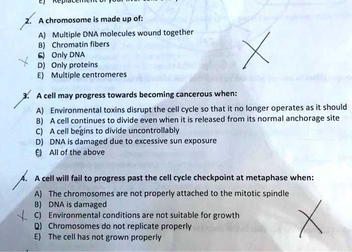2. A chromosome is made up of: A) Multiple DNA molecules wound together ...