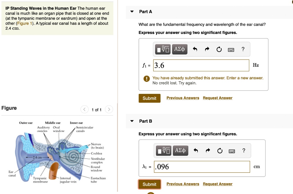 ip standing waves in the human ear the human ear cana is much like an ...