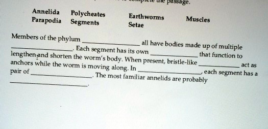 SOLVED: Annelida Polycheates Parapodia Earthworms Segments Muscles ... SOLVED: Annelida Polycheates Parapodia Earthworms Segments Muscles ...