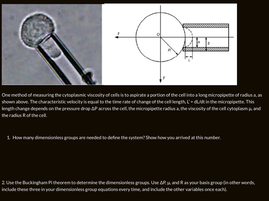 one method of measuring the cytoplasmic viscosity of cells is to ...