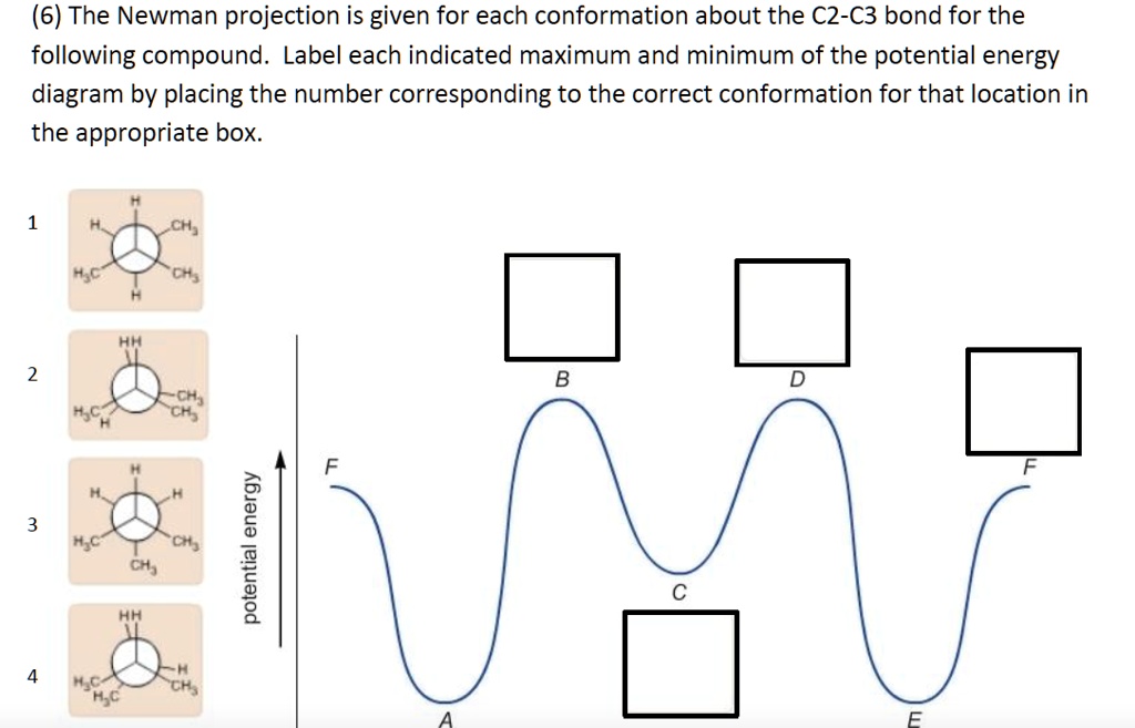 SOLVED: (6) The Newman projection is given for each conformation about ...
