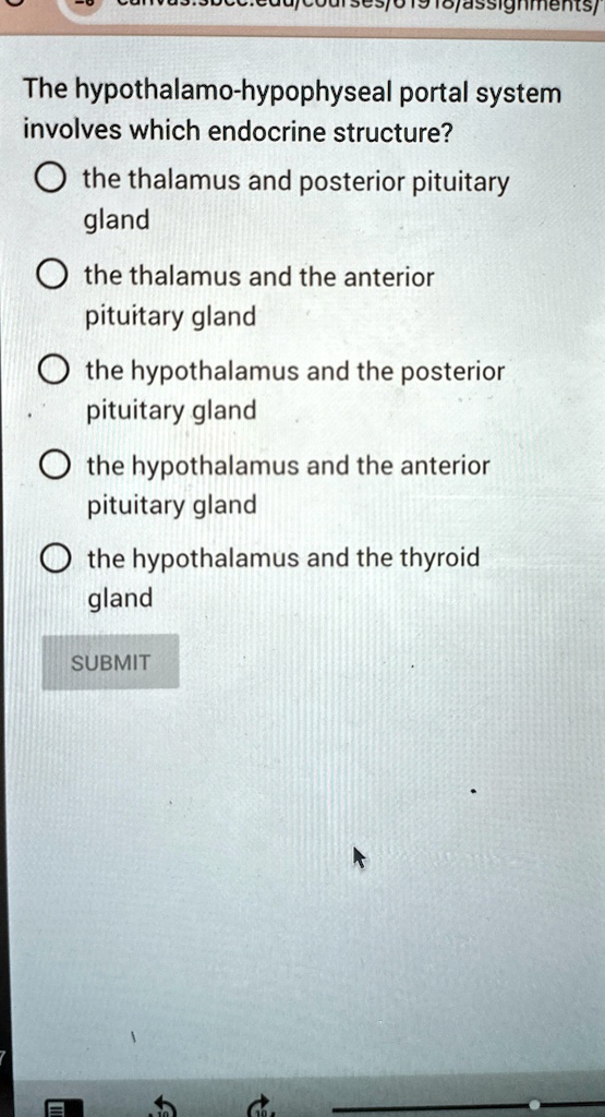 the hypothalamo hypophyseal portal system involves which endocrine ...