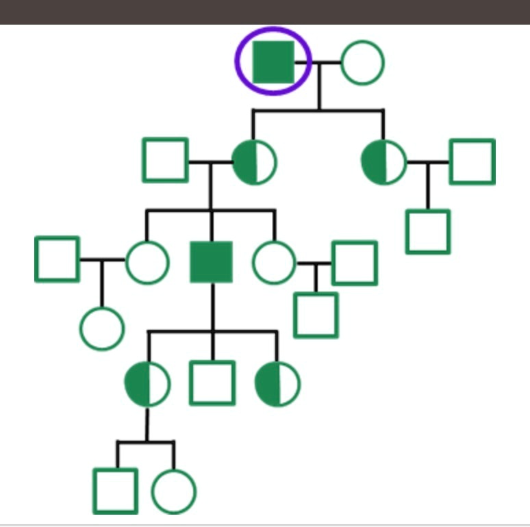 i need help asap the pedigree on the right shows the inheritance pattern for an x linked ...