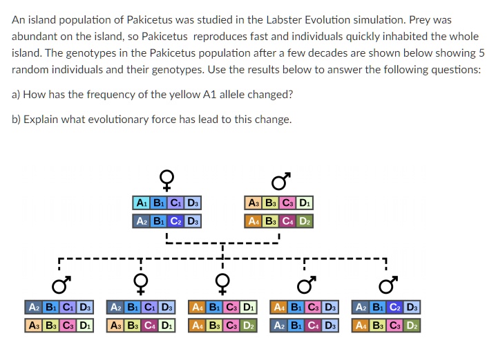 SOLVED: An island population of Pakicetus was studied in the Labster ...