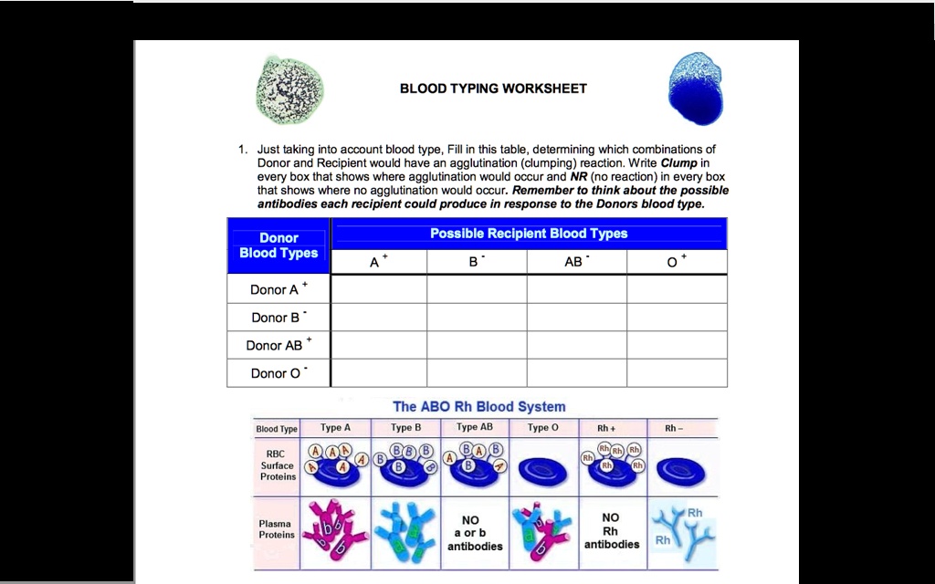 SOLVED: BLOOD TYPING WORKSHEET Just taking into account blood type ...