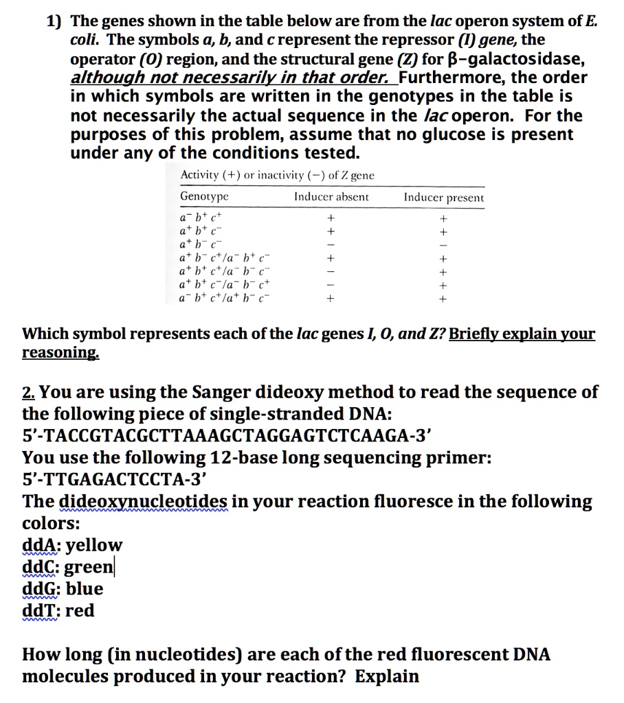 SOLVED: 1) The genes shown in the table below are from the lac operon ...
