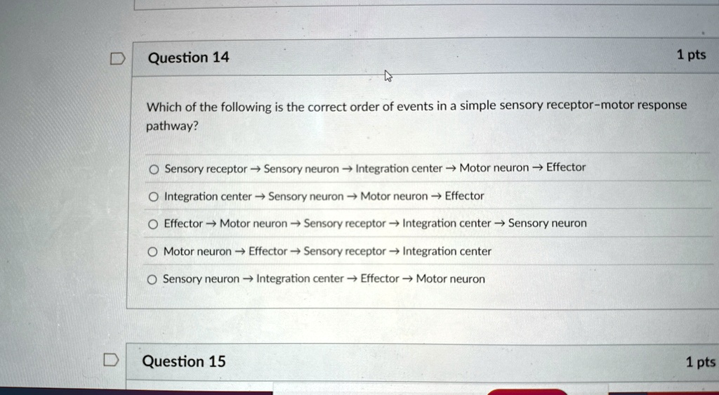 Question 14 1 pts Which of the following is the correct order of events ...