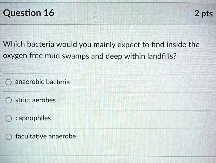 SOLVED: Question 16 2 pts Which bacteria would you mainly expect to ...