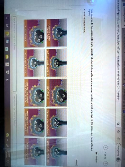 SOLVED: jeubis n.masteringaandp.com/myct/itemView?offset=next ...