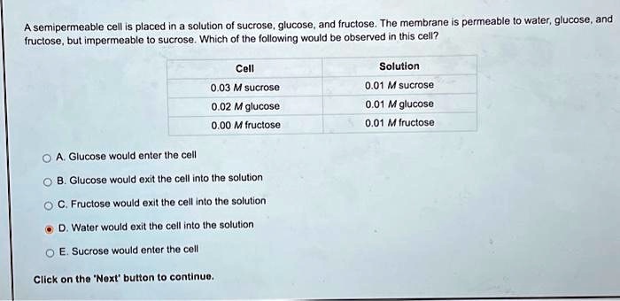 SOLVED: A semipermeable cell is placed in a solution of sucrose,glucose ...