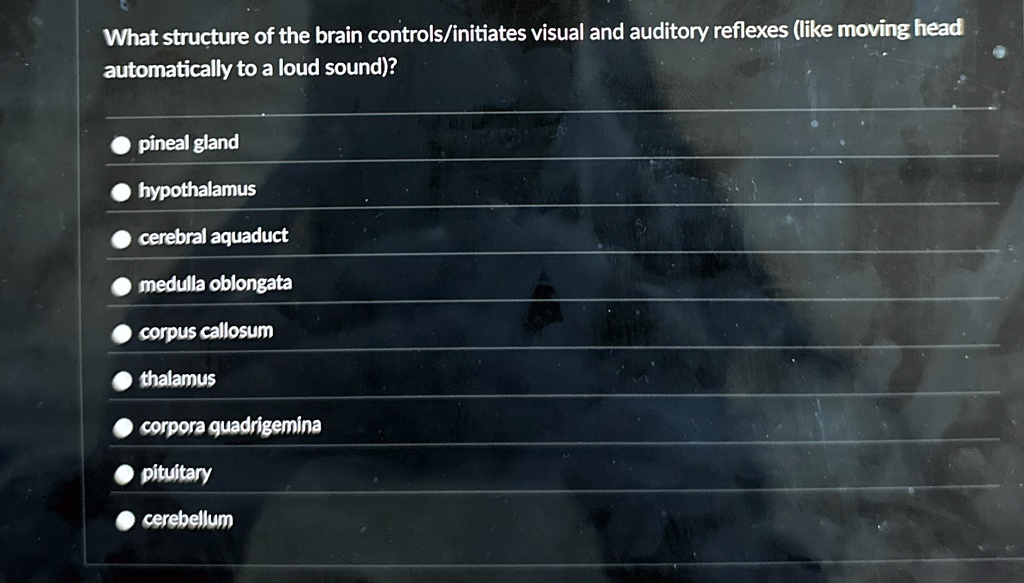 What structure of the brain controls/initiates visual and auditory ...
