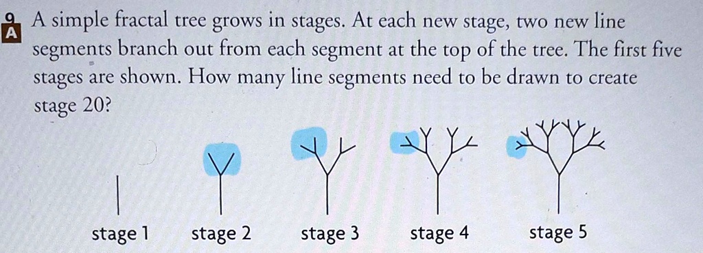 9 A simple fractal tree grows in stages. At each new stage, two new line segments branch out ...