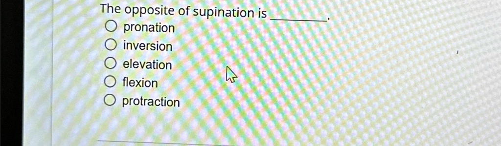 SOLVED: The opposite of supination is pronation inversion elevation ...