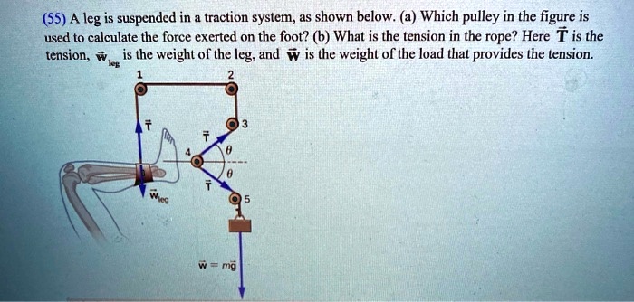 55 a leg suspended in traction system as shown below a which pulley in ...