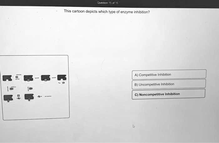 SOLVED:Onse 715 0t15 This cartoon depicts which type of enzyme ... SOLVED:Onse 715 0t15 This cartoon depicts which type of enzyme ...