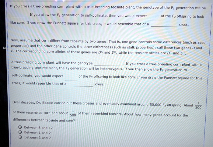 SOLVED: you Cross true-breeding corn plant with true breeding teosinte ...
