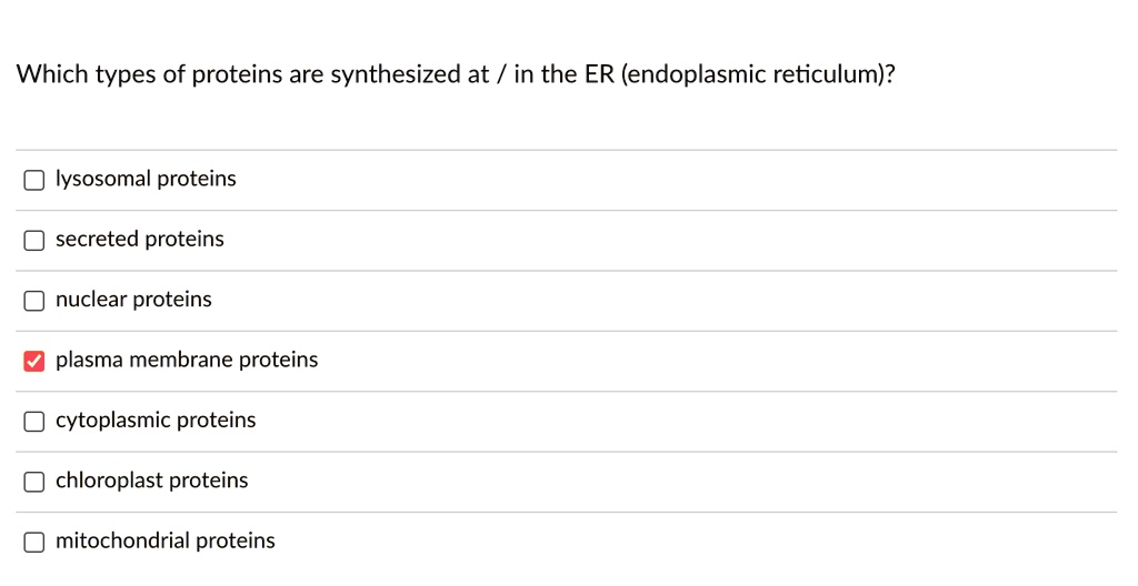 SOLVED: Which types of proteins are synthesized at in the ER ...