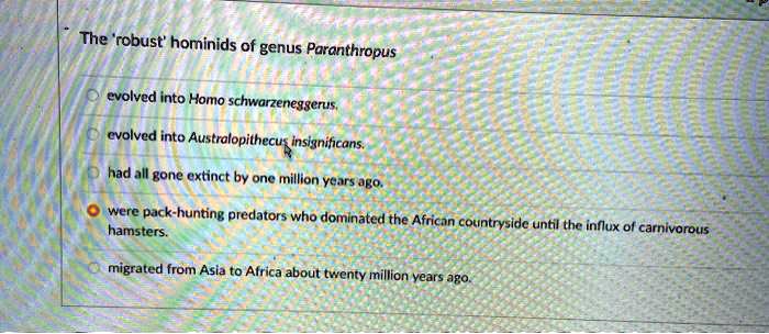 SOLVED: The 'robust' hominids of genus Paranthropus evolved into Homo schwarzeneggerus, evolved ...