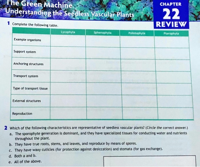 The Green Machine Understanding the Seedless Vascular Plants CHAPTER 22 ...