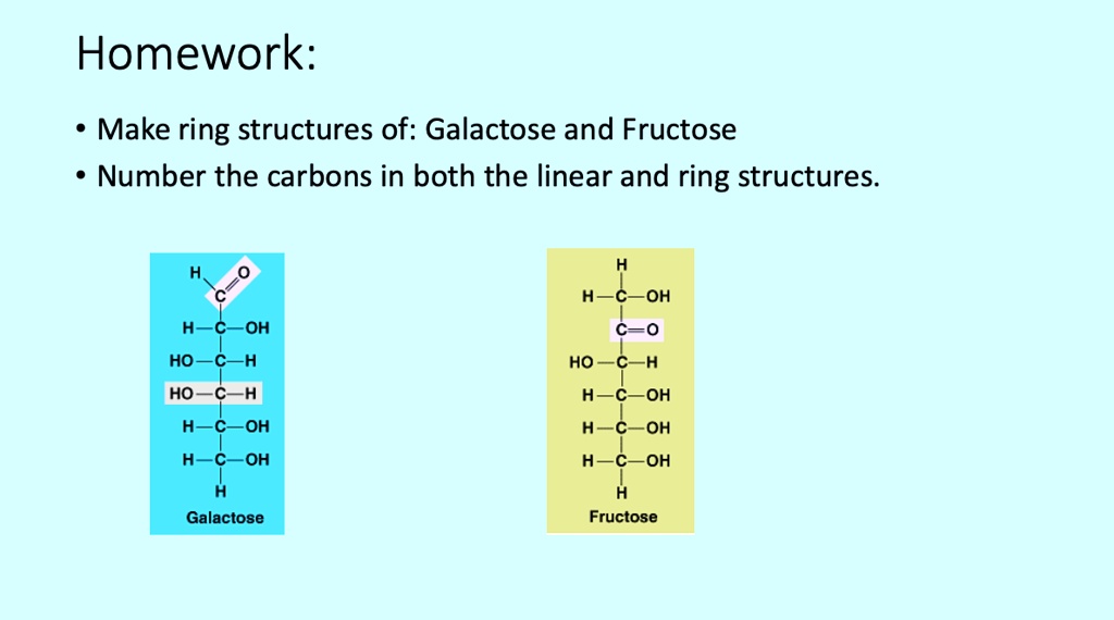 SOLVED:Homework: Make ring structures of: Galactose and Fructose Number ...