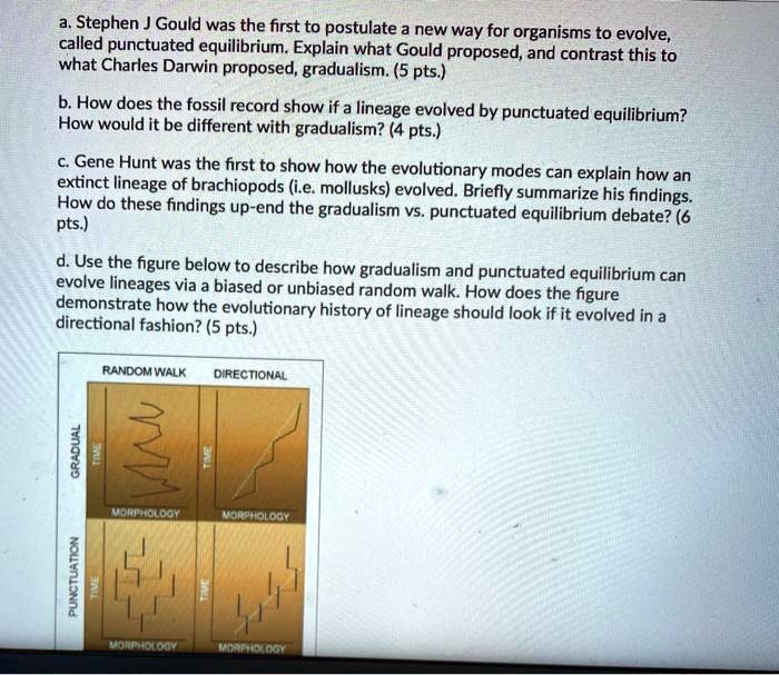 Stephen gould was the first to postulate a new way for...
