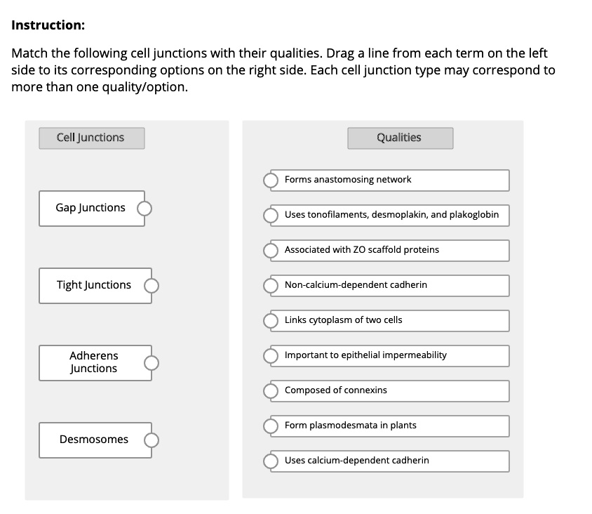 SOLVED: Text: Instruction: Match the following cell junctions with their qualities. Drag a line ...