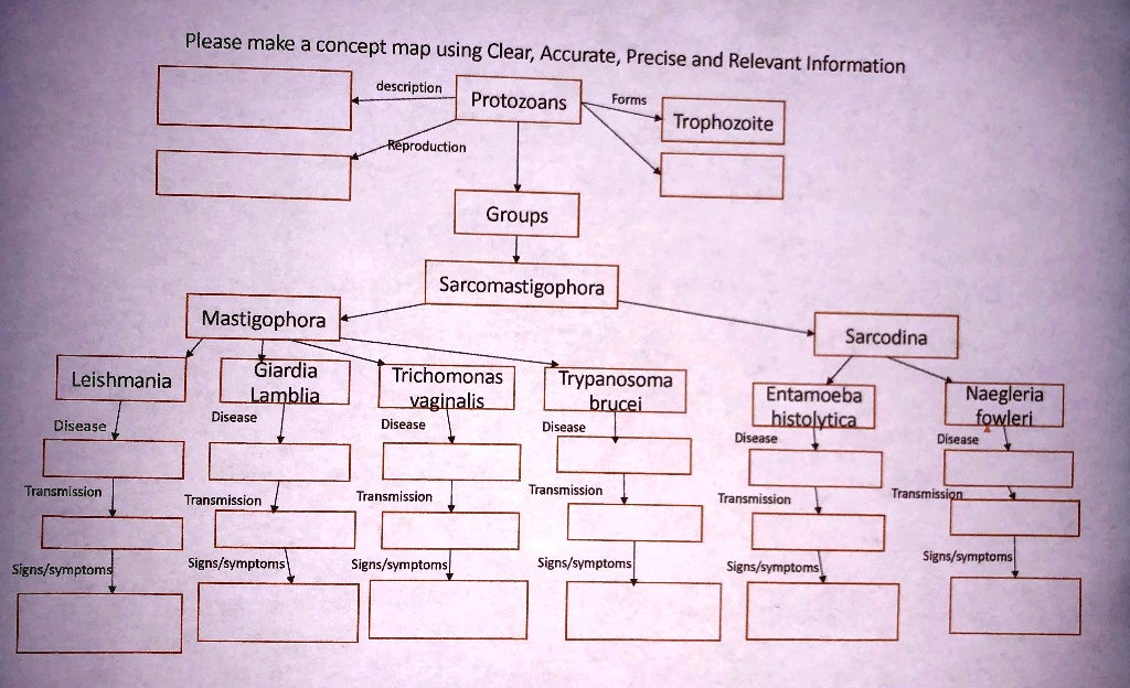 please make a concept map using clear accurate precise and relevant ...