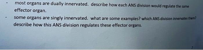 most organs are dually innervated. describe how each ANS division would ...