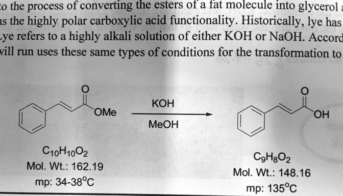 SOLVED: The process of converting the esters of a fat molecule into ...