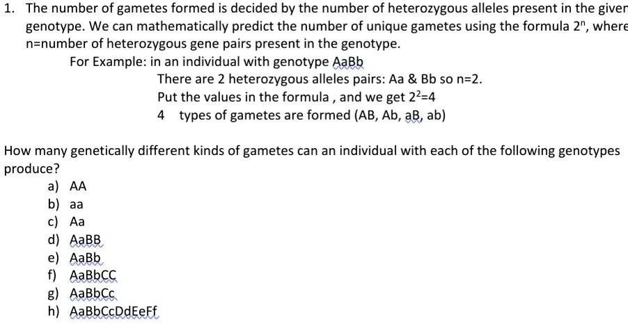 1. The number of gametes formed is decided by the number of ...