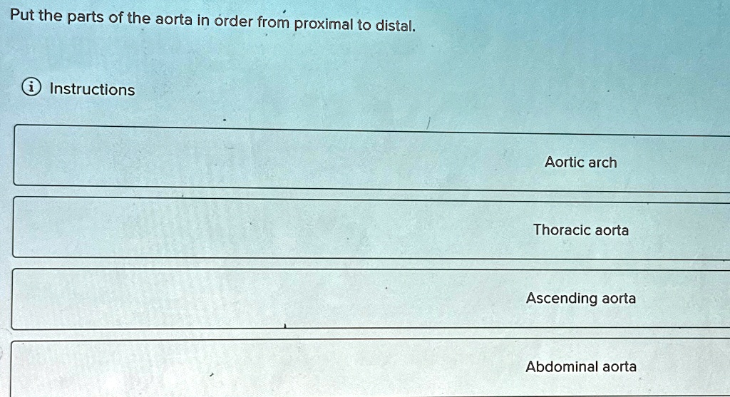 put the parts of the aorta in order from proximal to distal ...