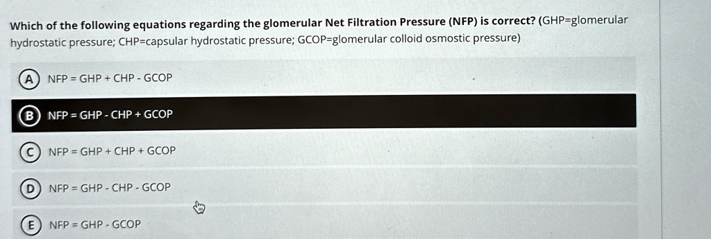 which of the following equations regarding the glomerular net ...