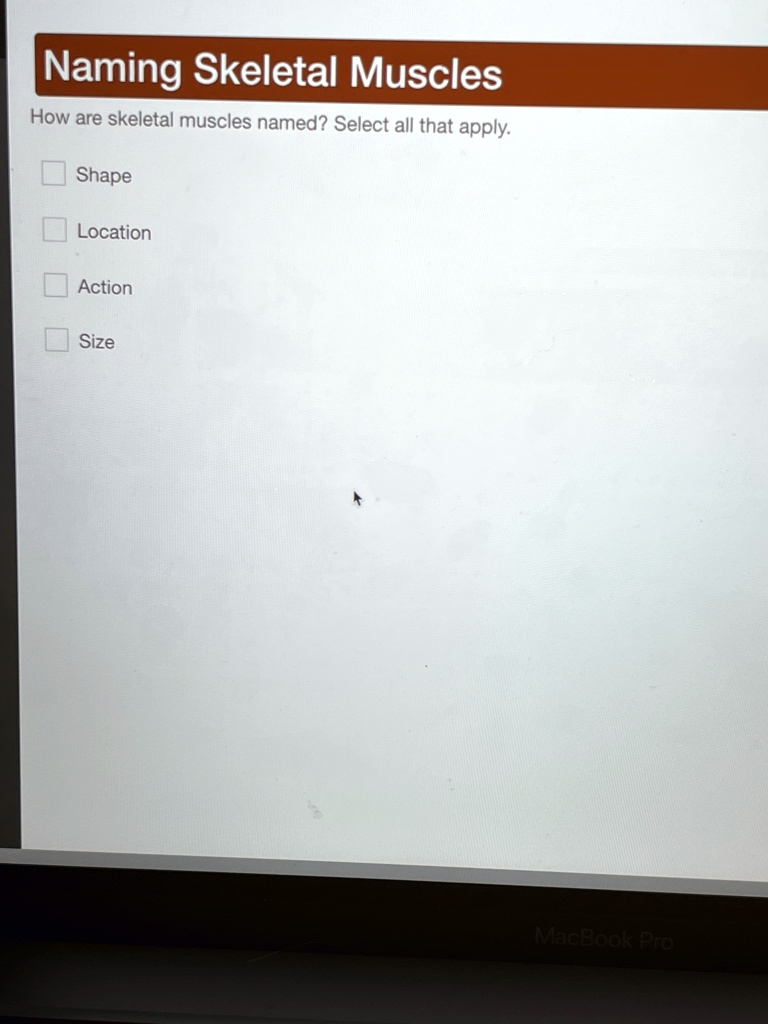 Naming Skeletal Muscles How are skeletal muscles named? Select all that ...