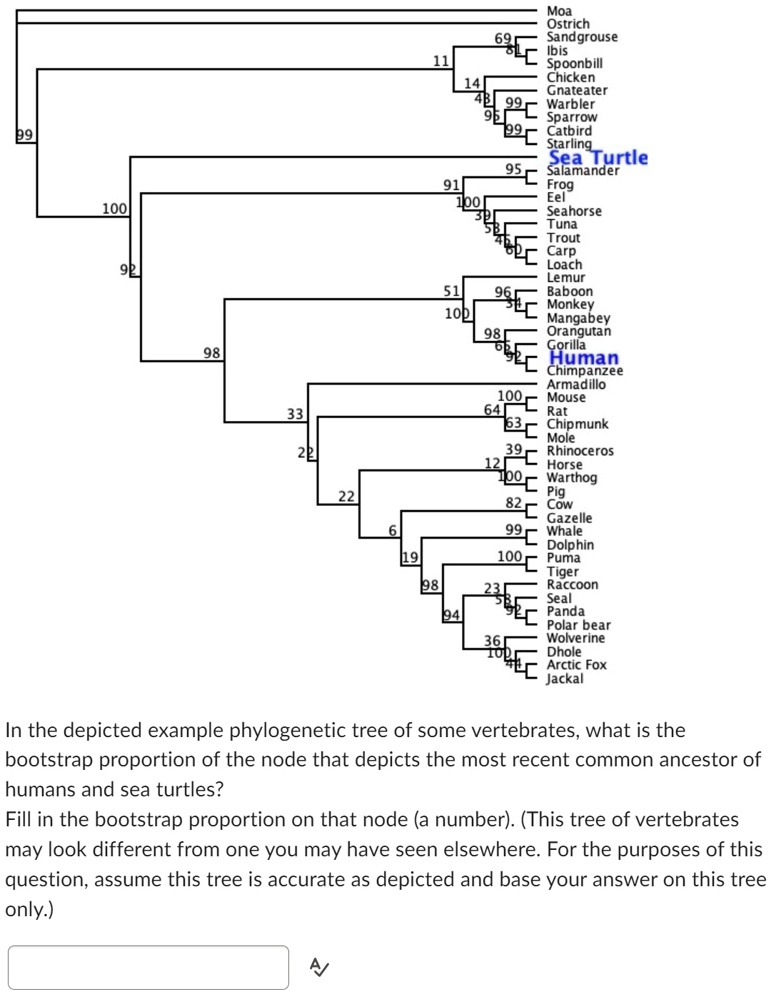 SOLVED: In the depicted example phylogenetic tree of some vertebrates ...