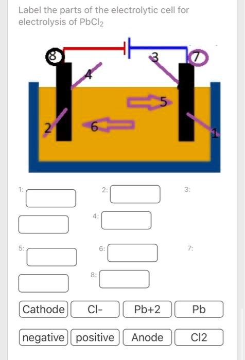 SOLVED: Label the parts of the electrolytic cell for electrolysis of PbCl2 Cathode Cl- Pb+2 Pb ...