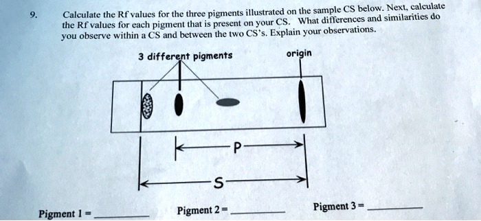 VIDEO solution: Illustrated on the sample CS below: Next, calculate the Rf values for the three ...