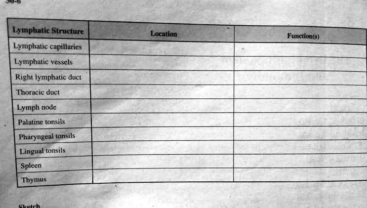 SOLVED: Lymphatic Structure Lymphatic capillaries Lymphatic vessels Right lymphatic duct ...