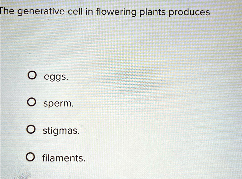 The generative cell in flowering plants produces O eggs. O sperm. O ...
