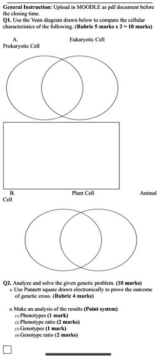 Genotype Vs Phenotype Venn Diagram