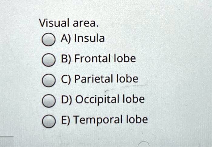 visual area a insula b frontal lobe c parietal lobe d occipital lobe e ...