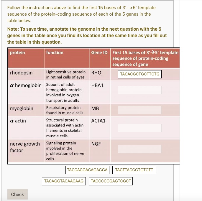 SOLVED: Follow the instructions above to find the first 15 bases of the ...