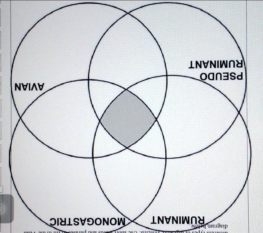 SOLVED: 'Using the 4-way Venn diagram compare and contrast the ...