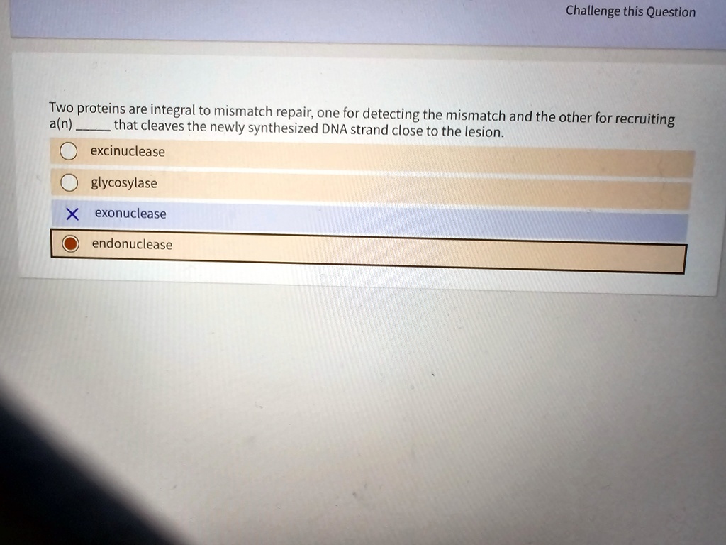 SOLVED: Two proteins are integral to mismatch repair, one for detecting ...