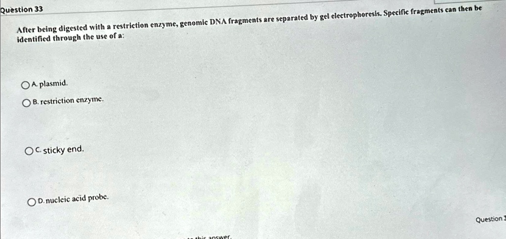 SOLVED: Question 33 After being digested with a restriction enzyme ...