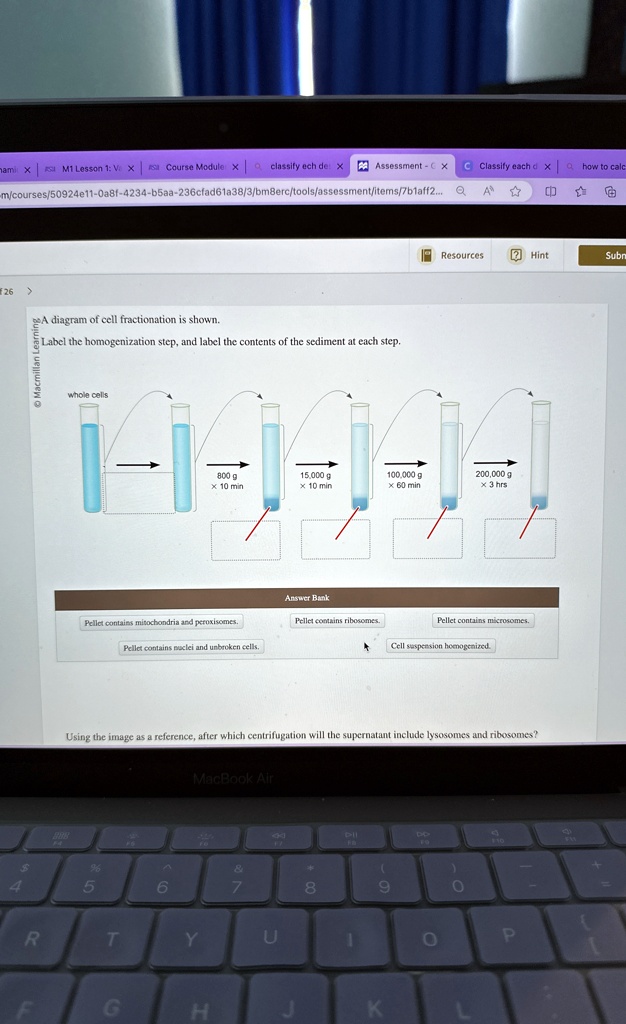 A diagram of cell fractionation is shown. Label the homogenization step ...